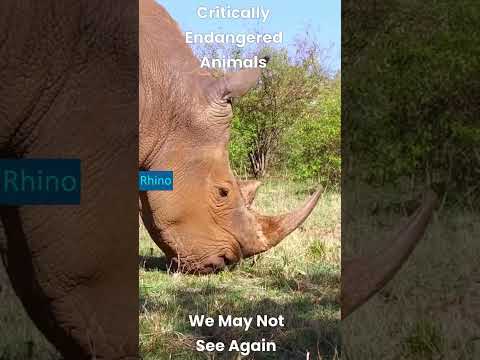 Critically Endangered