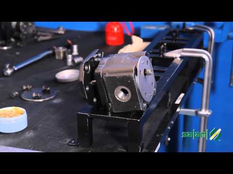 PG330 PG331 Tutorial2 Cast Iron Gear Pump Salami SpA