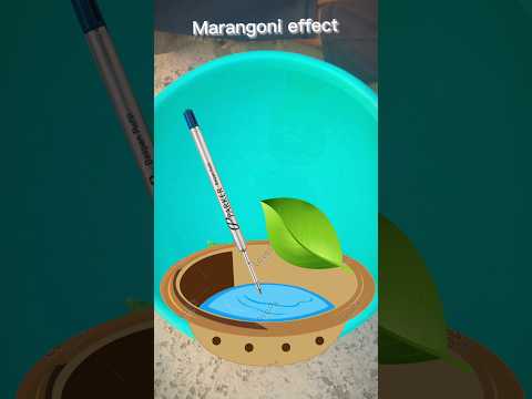 Marangoni effect :• Instruments are: Leaf🌿 water💦 penriffil✒️ tub🪣🕉️