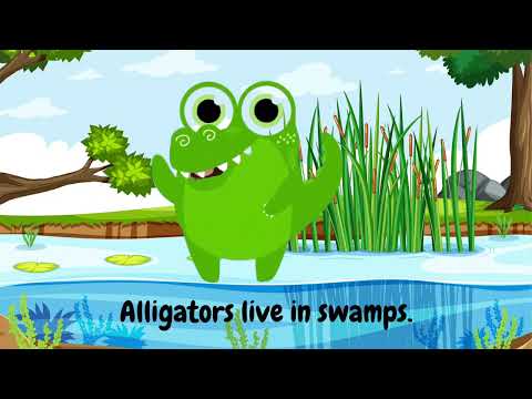 Alligator Starts With A