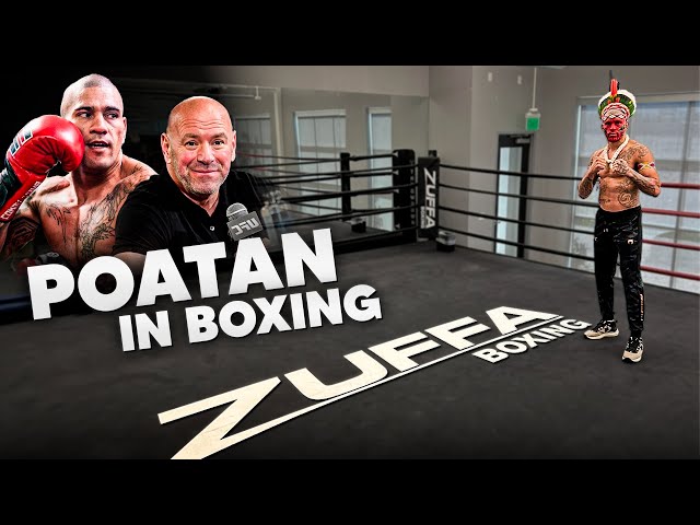 "That's insane for his weight" - Alex Pereira shares footage of "one of ...