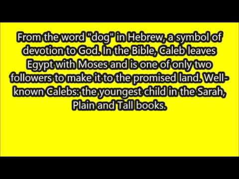 Meaning Of The Name Caleb