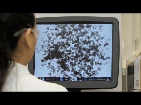 Microphysiological Systems (MPS) in Toxicology