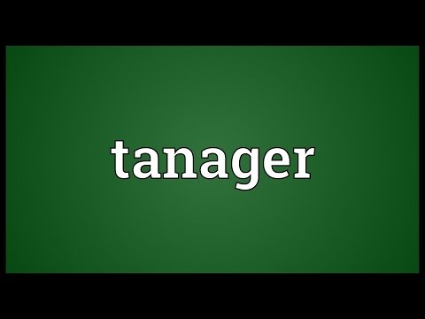 Tanager Meaning
