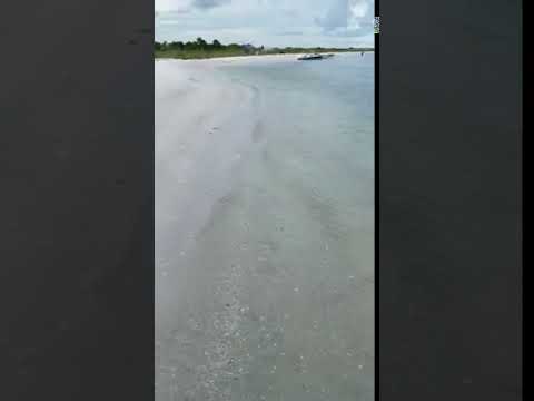 Shell Key Preserve, FL | The Dyrt