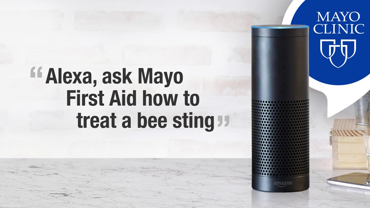 First Aid for a Bee Sting