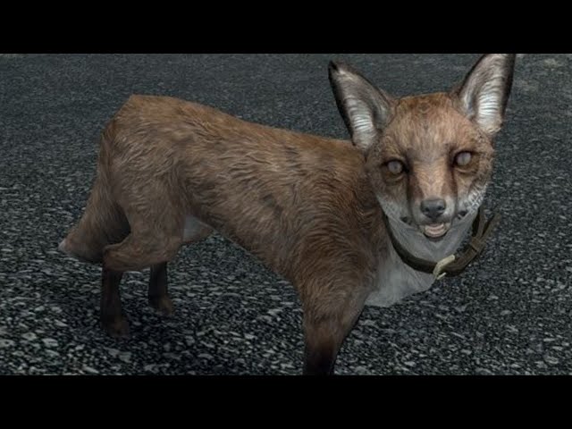 Top 5 Pets in The Elder Scrolls Skyrim