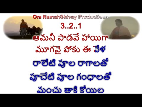 Amani Padave Karaoke With Lyrics Telugu |Geethanjali | Nagarjuna | Girija Shettar | Telugu Songs