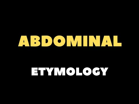 Abdominal: From Latin to Anatomy