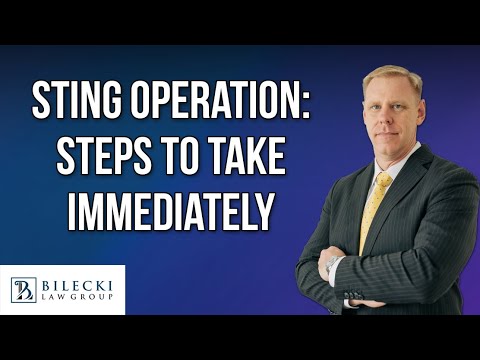 Sting Operation: Steps to Take Immediately