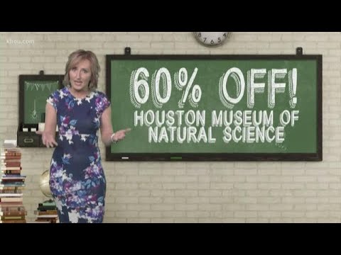 Houston's amazing museums can keep kids entertained during spring break
