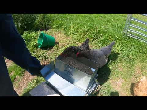 Grandpa's Chicken Feeder