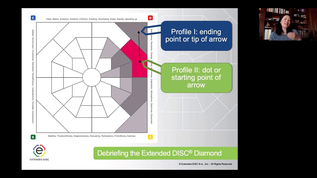 Understanding the Extended DISC® Diamond