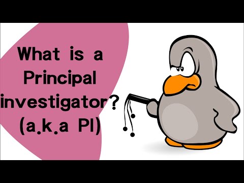 What is a principal investigator? Based on a true (and ongoing) story