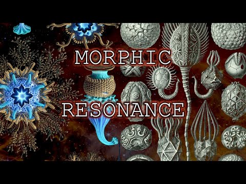 Morphic Resonance; The Theory of Formative Causation