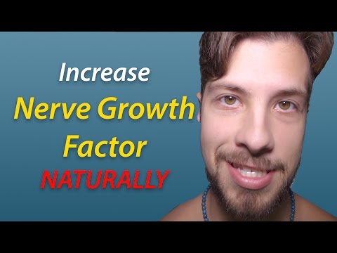 Nerve Growth Factor: How to Increase It Naturally (or Decrease it)