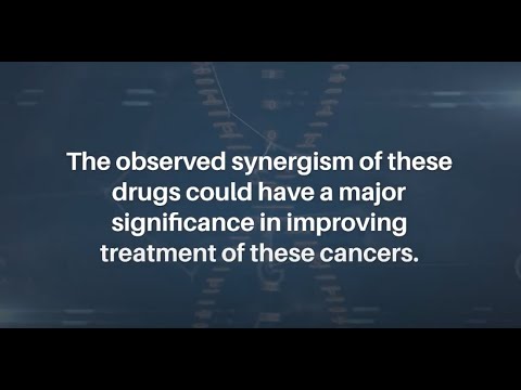 Combination of HDACi, PARPi and Chemotherapeutic Agents Treat Hematologic Cancer | Oncotarget