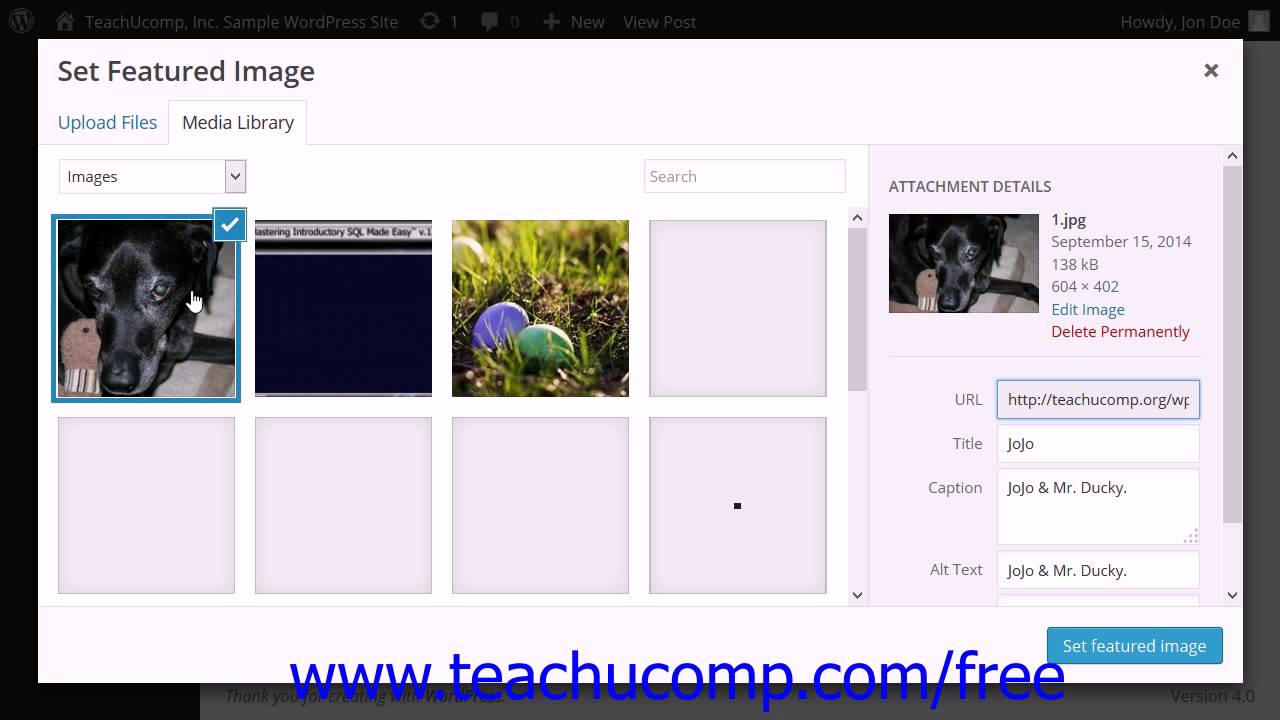 WordPress 4.0 Training Tutorial Using Featured Images