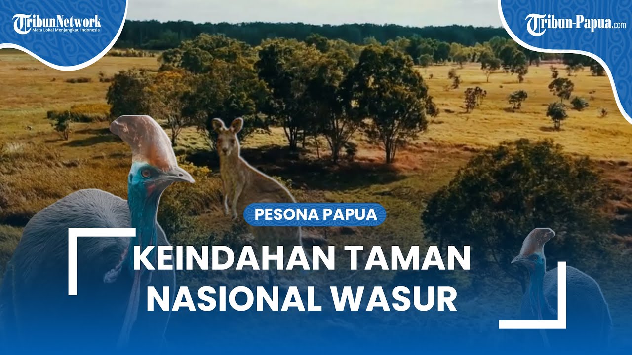 Melihat Pesona Keanekaragaman Hayati di Taman Nasional Wasur Merauke ...