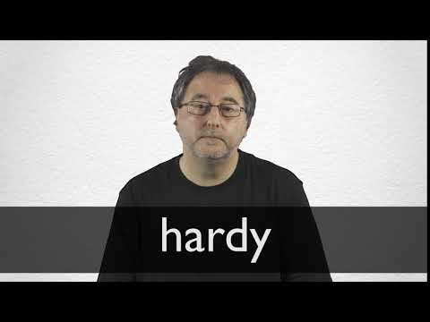 How to pronounce HARDY in British English