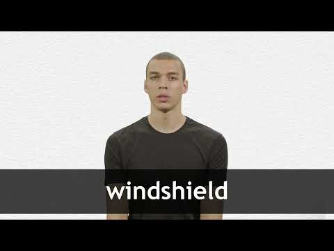 WINDSHIELD definition and meaning | Collins English Dictionary