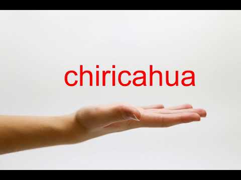 How to Pronounce chiricahua - American English