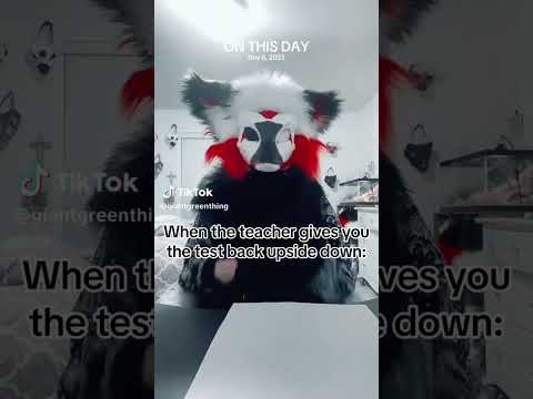 When you get a test upside down. #furry #furries #fursuit #viral #tiktok#fyp#shorts#antizoo #fursona