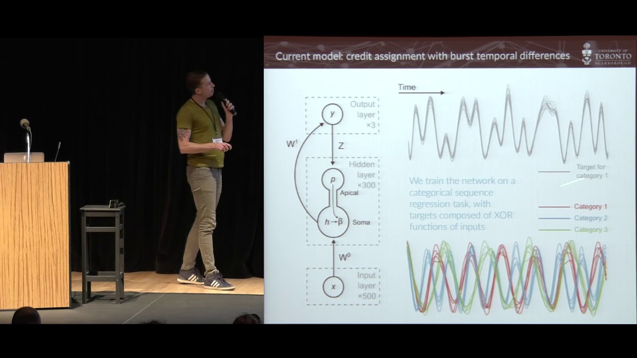 Blake Richards - Deep learning with segregated dendrites