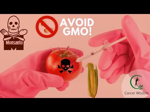 Why You Should Avoid Genetically Modified Foods(GMO)