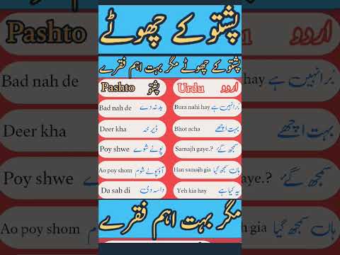 pashto learning for beginners #lalaimran #learnpashto #shorts