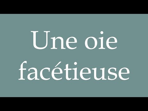 How to Pronounce ''Une oie facétieuse'' (A mischievous goose) Correctly in French