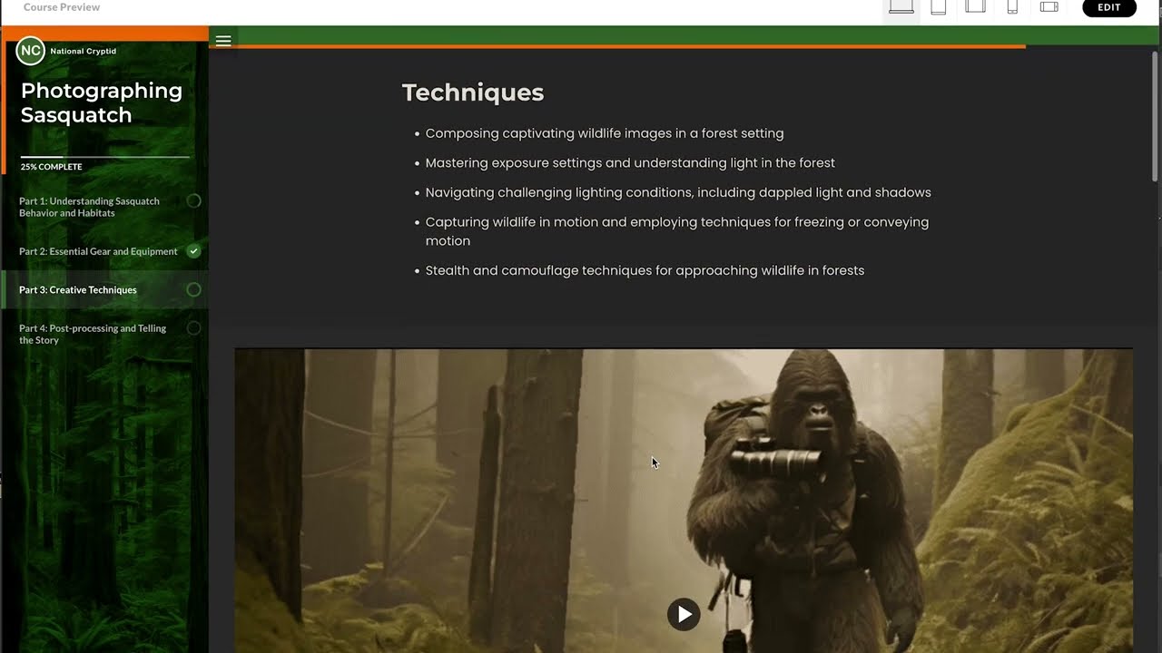 Articulate Rise 360- customize your theme with CSS