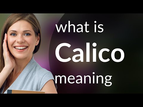 Calico | definition of CALICO