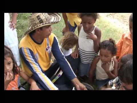 BiblioBurro – Donkey Library | Bedside Table Books