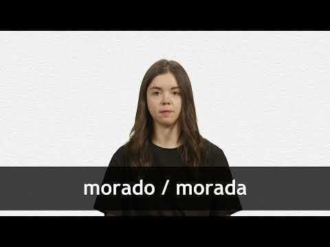 English Translation of “MORADO” | Collins Spanish-English Dictionary