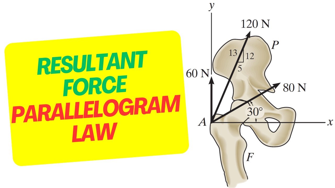 Resultant Force & Angle | Parallelogram Law Explained