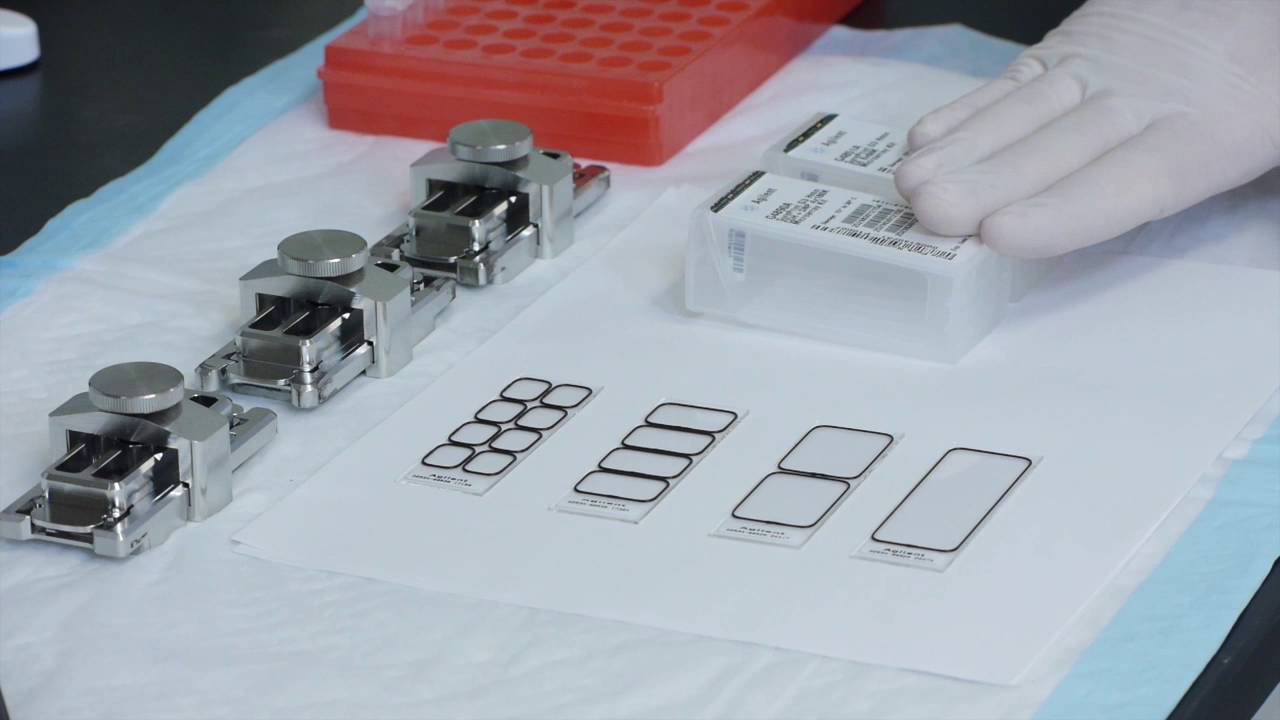SurePrint: SurePrint Microarray Hybridization Setup