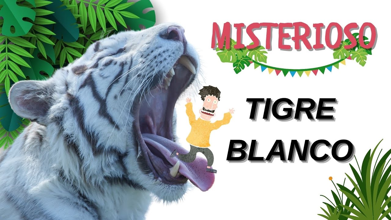 TIGRE BLANCO - Datos Interesantes #wildlifedocumentary #wildlifeanimals @LaraBabyKidsSongs