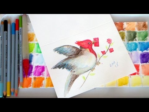 Let’s Paint a Brazilian Cardinal! {watercolor pencil tutorial} – The ...