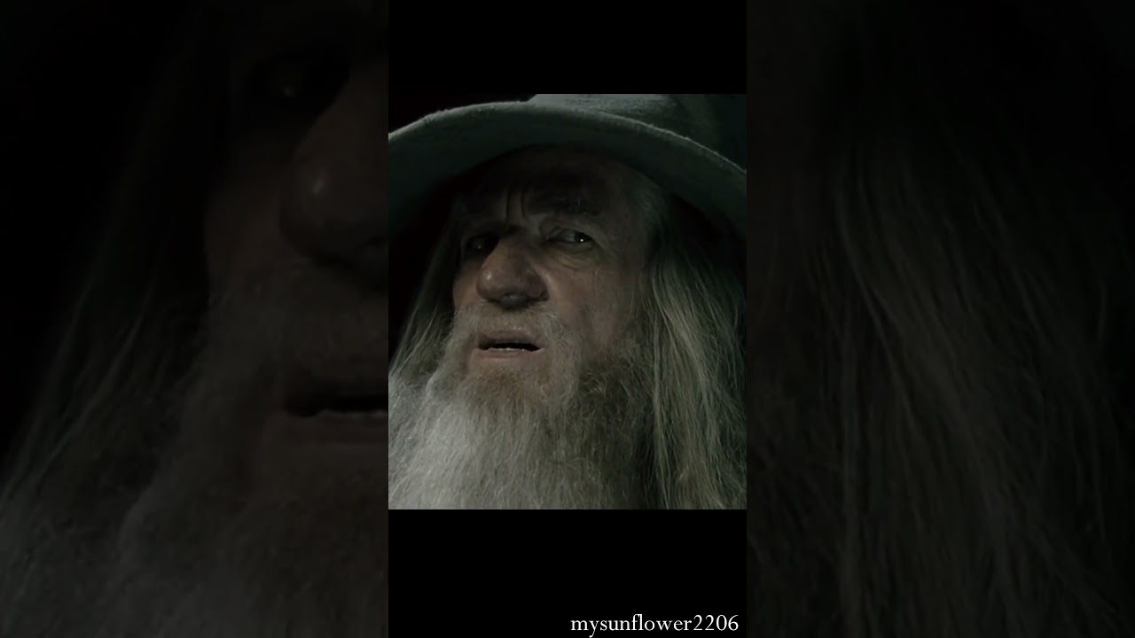 Confused Gandalf meme #gandalf #lotr #lordoftherings