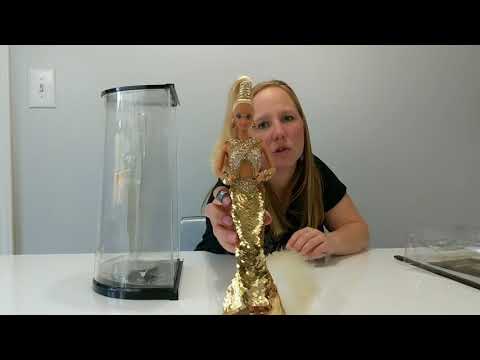 A Special Gift: The First Mackie Barbie