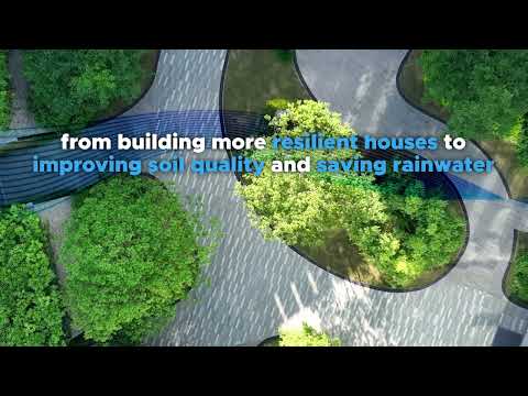 Climate jargon: What is Adaptation
