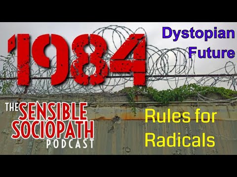Rules for Radicals Book Review Leads to Orwells Dystopian Future