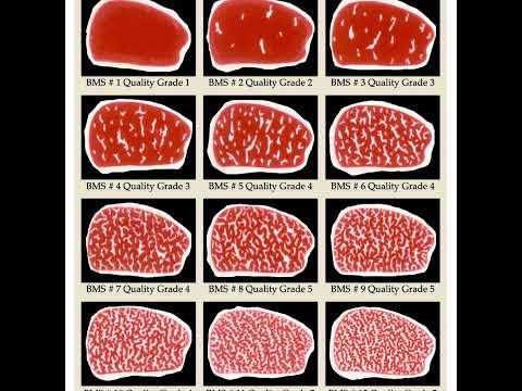 Marbling's Effect on Grilled Steaks