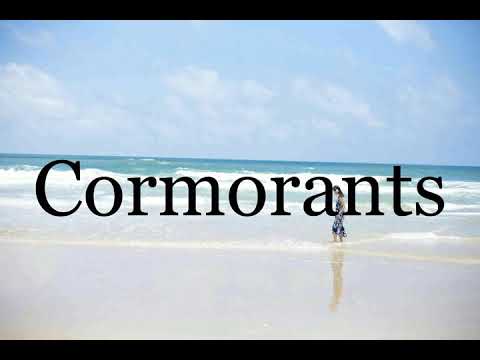 How To Pronounce Cormorants🌈🌈🌈🌈🌈🌈Pronunciation Of Cormorants