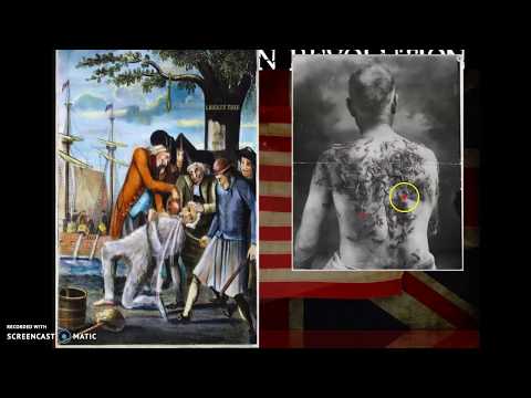 Revolutionary War Review & Loyalists v. Patriots