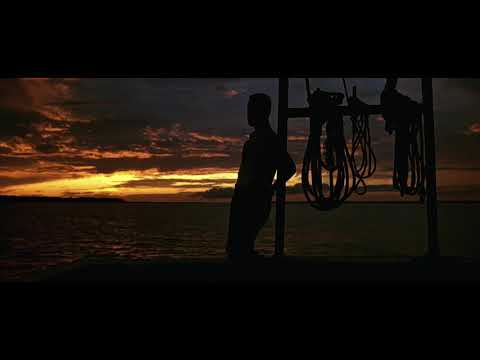 Forrest Gump - A Tribute