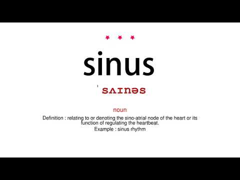 How to pronounce sinus - Vocab Today