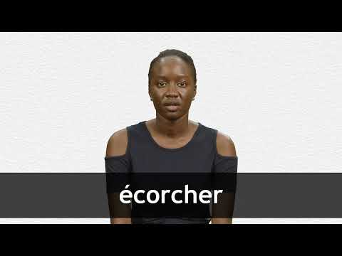 English Translation of “ÉCORCHER” | Collins French-English Dictionary