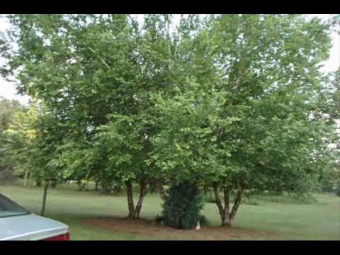 6190 Sandy Creek Road, Madison, Georgia 30650